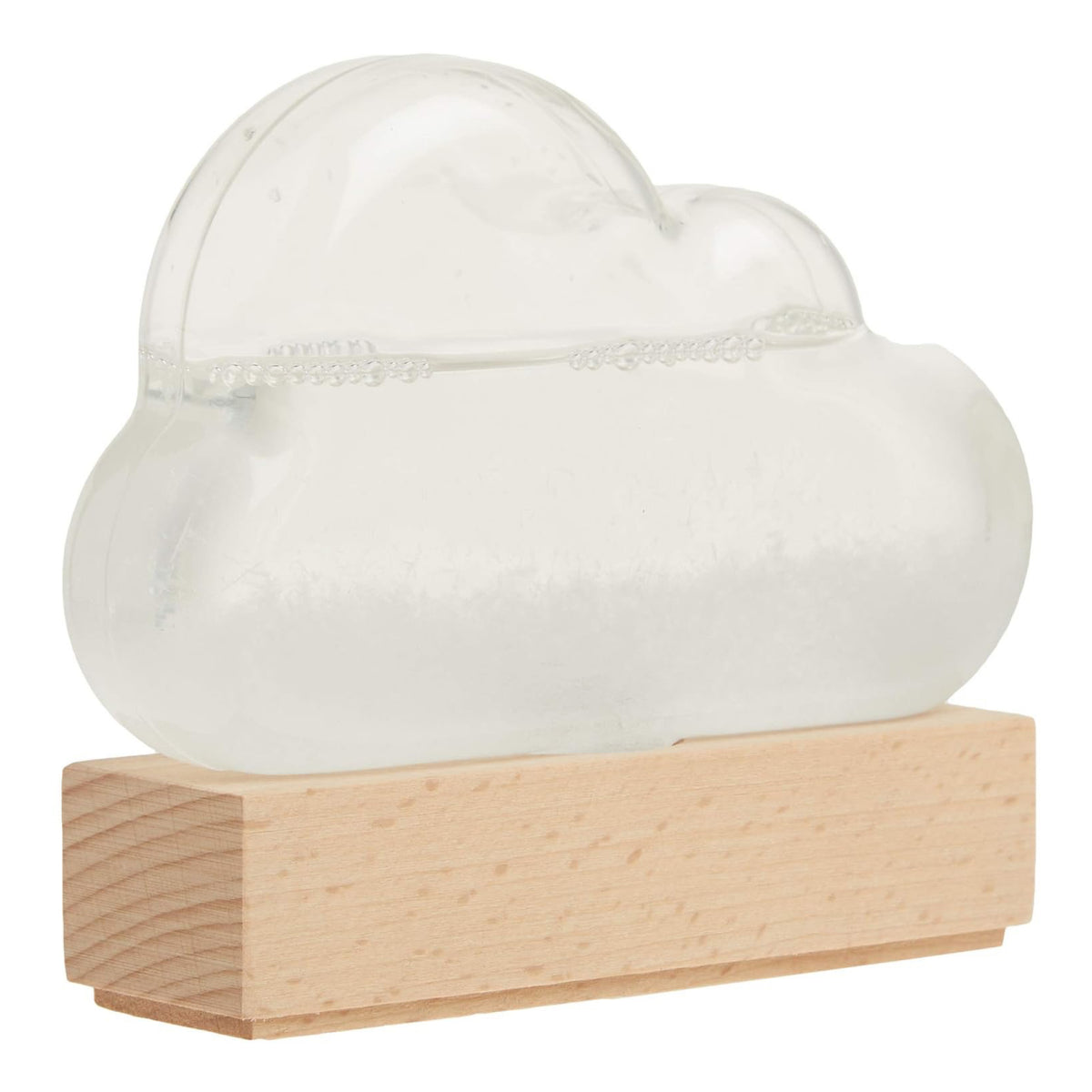 Storm Cloud Weather Predicting Instrument | Chronicle Books – Outer Layer