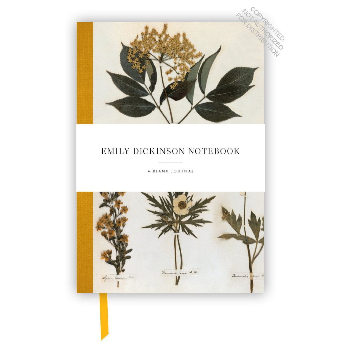 Emily Dickinson Notebook | Chronicle Books – Outer Layer