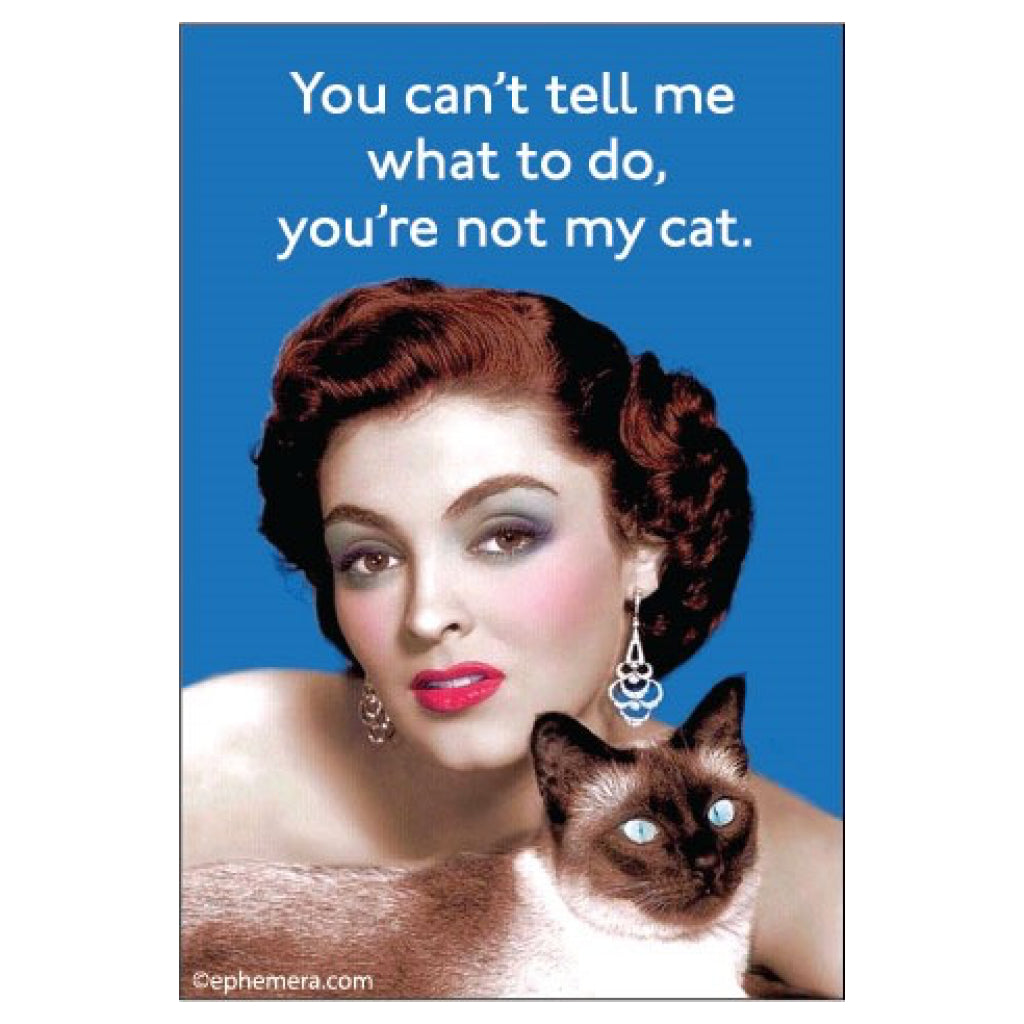 You're Not My Cat Magnet | Ephemera – Outer Layer