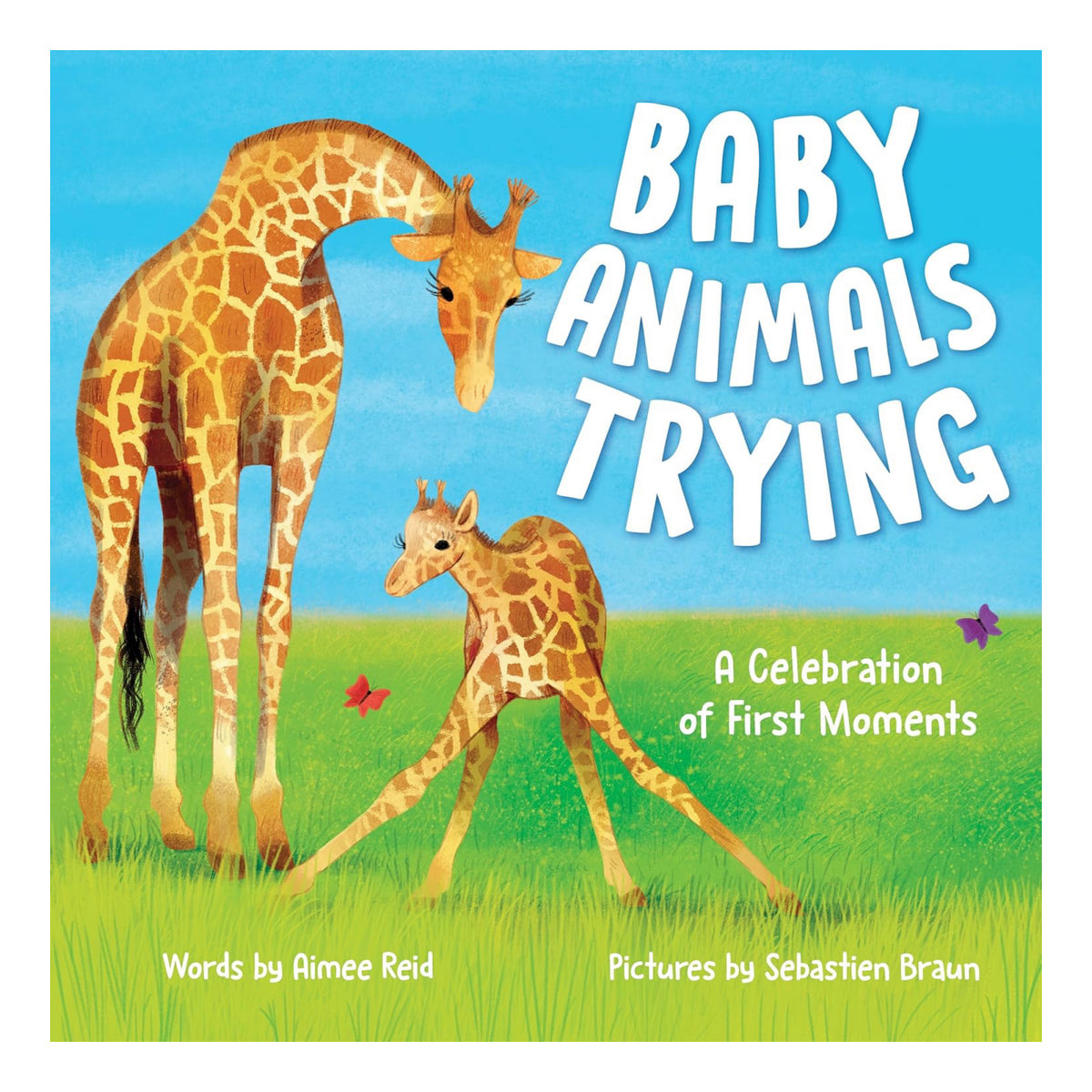 Baby Animals Trying | Sourcebooks – Outer Layer