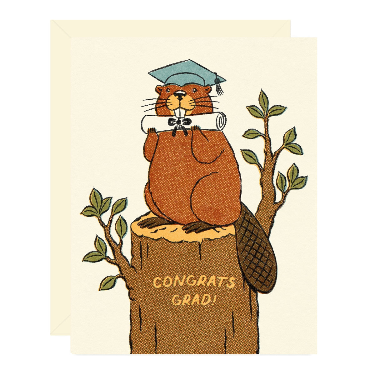 Beaver With Diploma Graduation Card | Wallflower Paper & Party – Outer ...