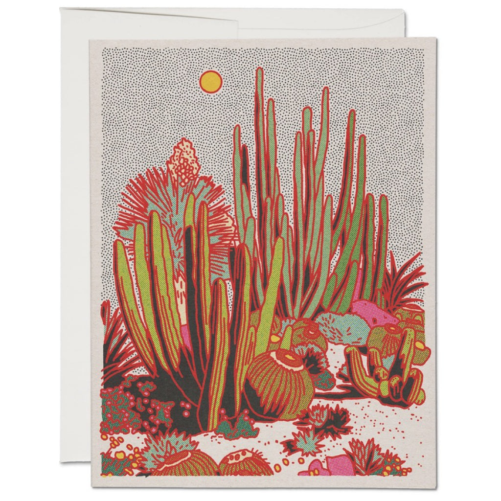 Cactus Scene Everyday Card | Red Cap Cards – Outer Layer