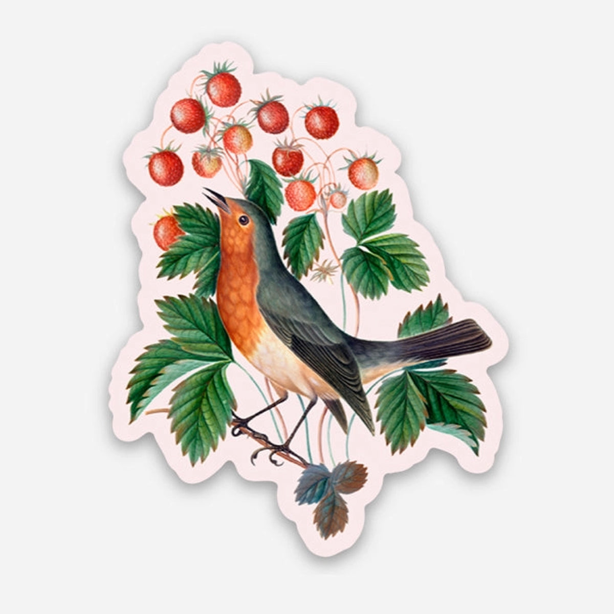 Determined Robin Small Sticker | Stay Home Club – Outer Layer
