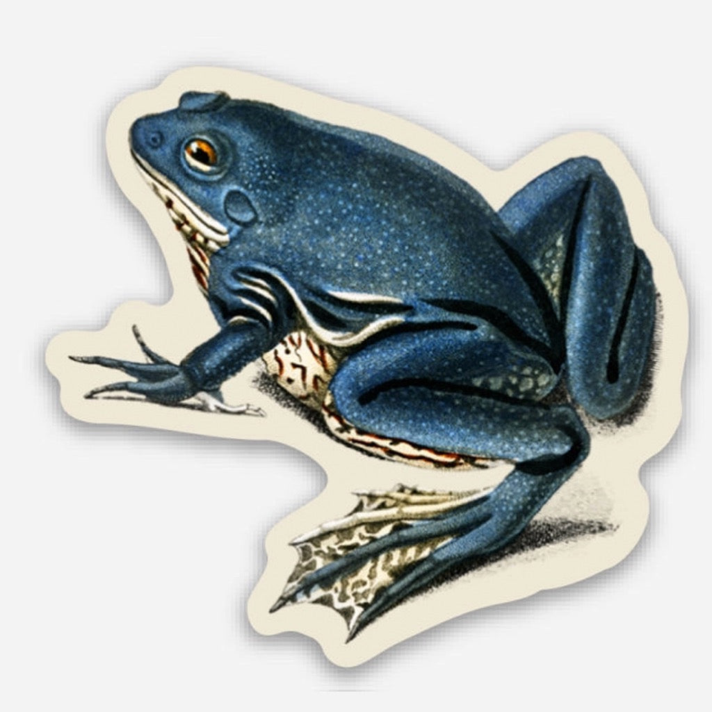 Exasperated Frog Gap Filler Sticker | Stay Home Club – Outer Layer