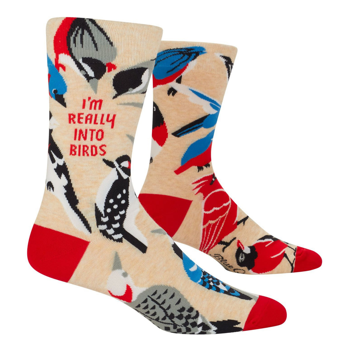 Really Into Birds Men's Socks | Blue Q – Outer Layer