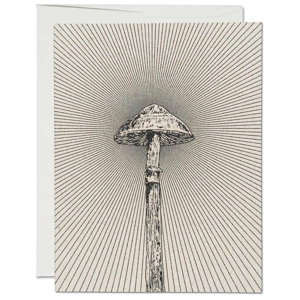Shroom Everyday Card | Red Cap Cards – Outer Layer
