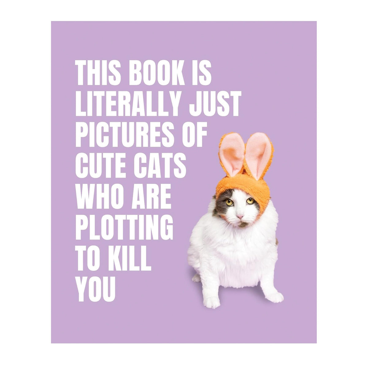 This Book Is Literally Just Pictures Of Cute Cats Who Are Plotting To ...