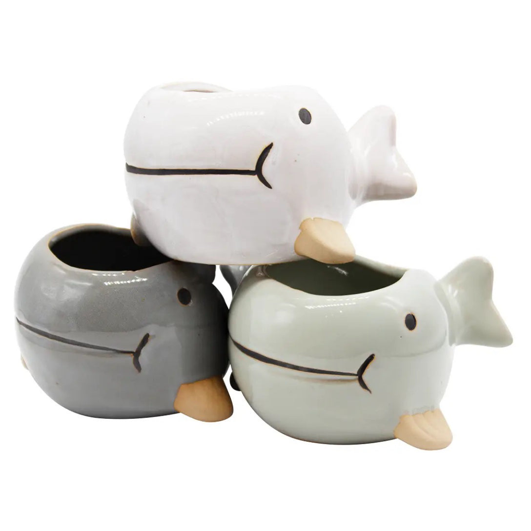 Glazed Whale Planter Pot | Springer Decor – Outer Layer