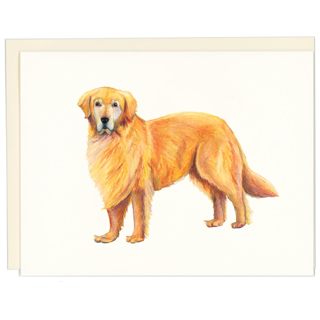 Golden Retriever Card by Good Postage – Outer Layer