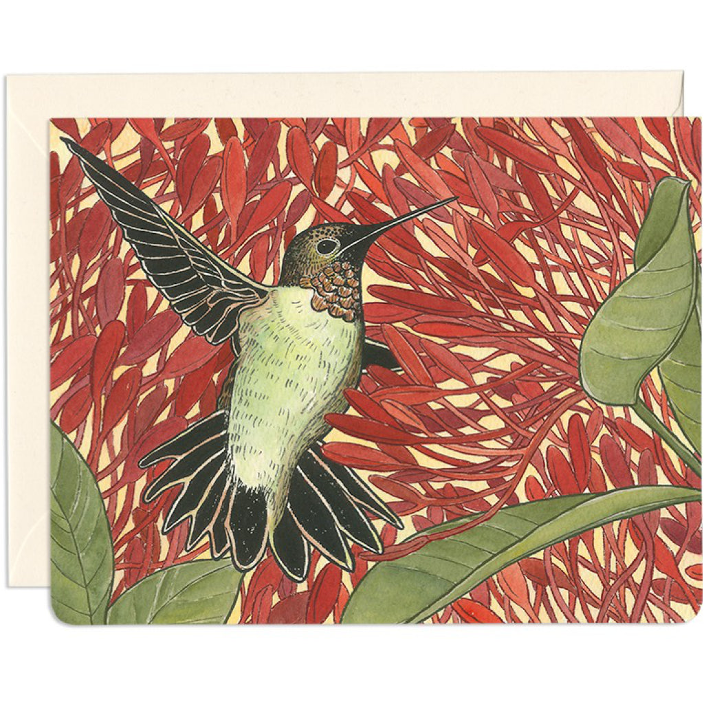 Hummingbird Healer Card by Gotamago – Outer Layer