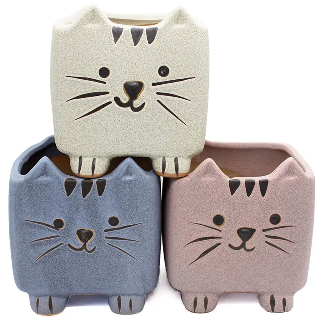Square Cat Planter Pot | Springer Decor – Outer Layer