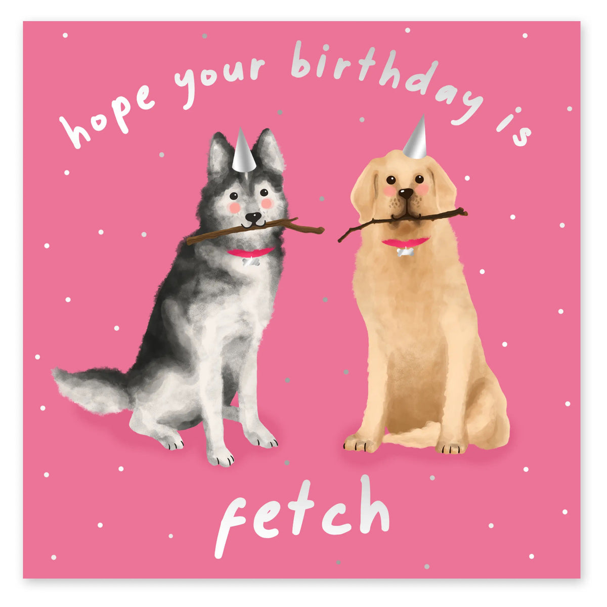 Fetch Birthday Card | Central23 – Outer Layer