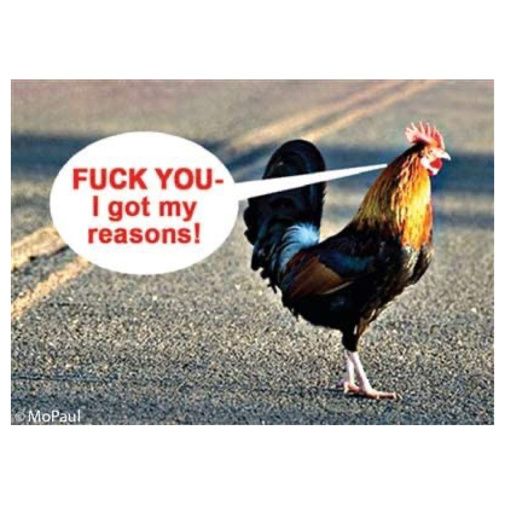 I've Got My Reasons Magnet | Ephemera – Outer Layer