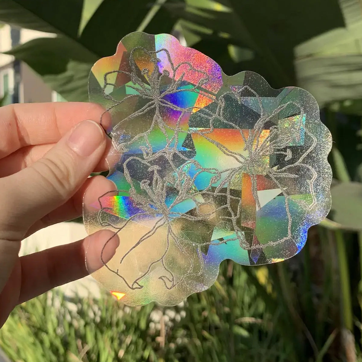 Lily Rainbow Maker Window Sticker | Love Tigerlily – Outer Layer