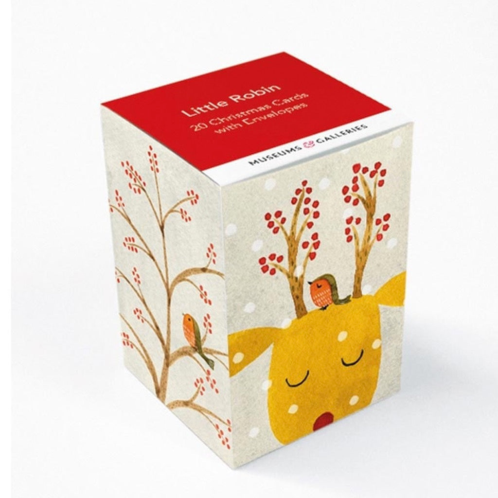 Little Robin Mini Cube Christmas Cards | Museums & Galleries – Outer Layer
