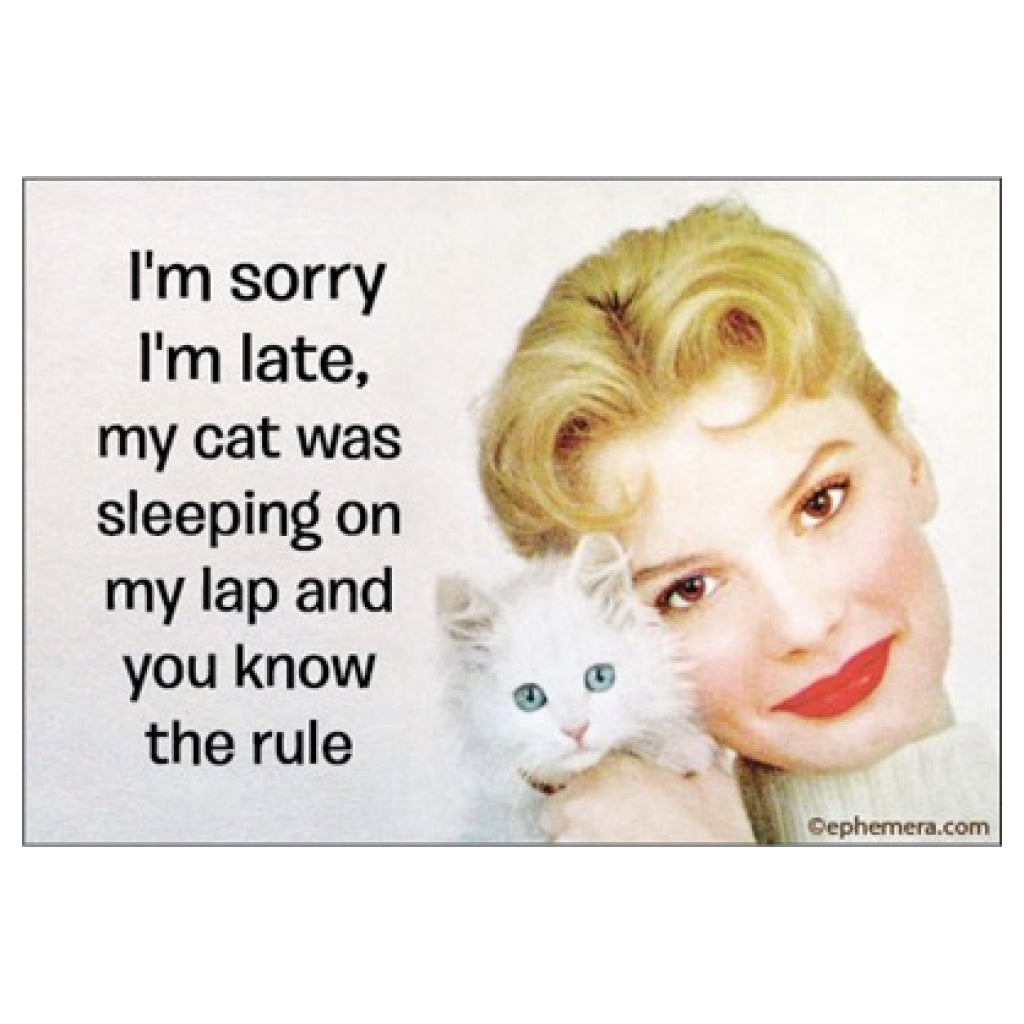 May Cat Was Sleeping Magnet | Ephemera – Outer Layer