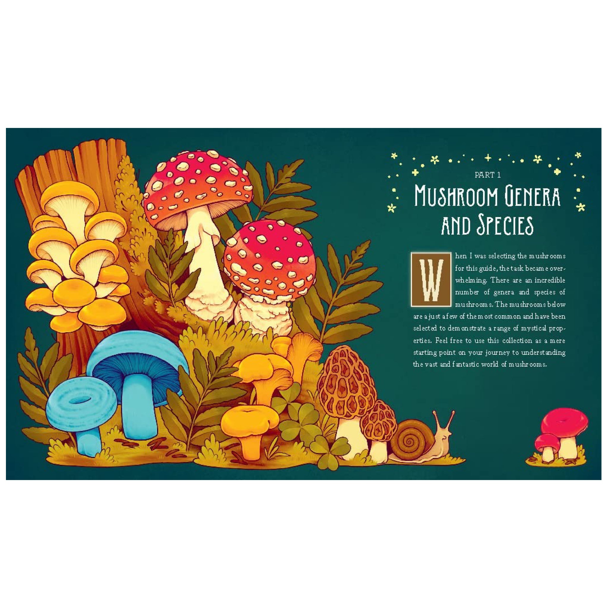 Mushroom Magick : Ritual | Sterling Publishing – Outer Layer