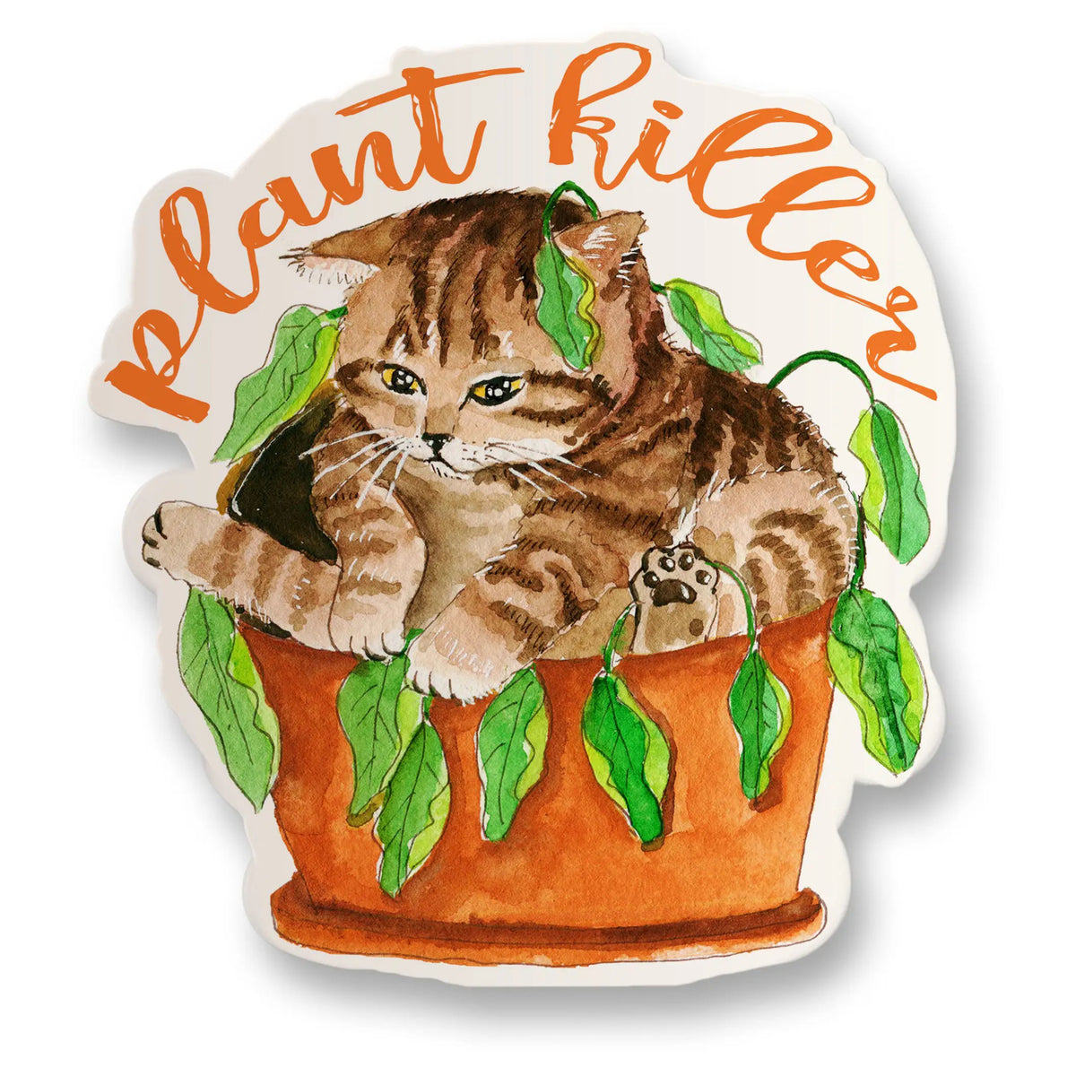 Plant Killer Cat Sticker | Liyana Studio – Outer Layer