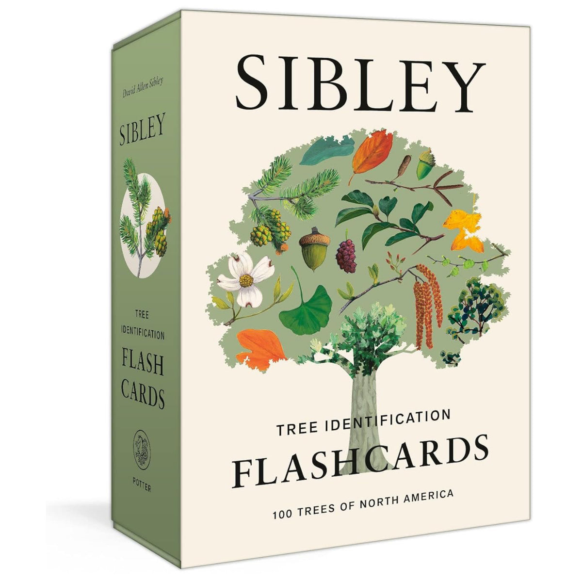 Sibley Tree Identification Flashcards | Clarkson Potter – Outer Layer