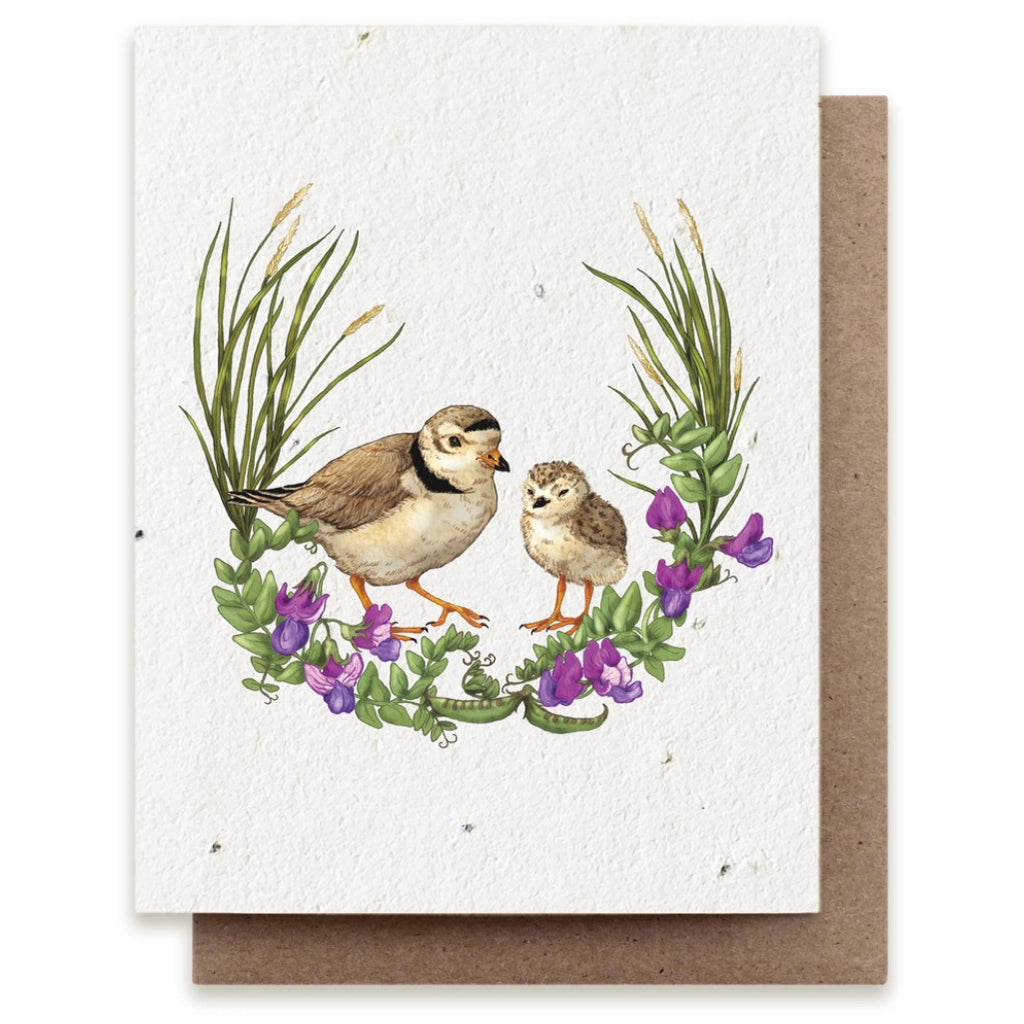 Summer Plovers Birds Seed Paper Card | The Bower Studio – Outer Layer