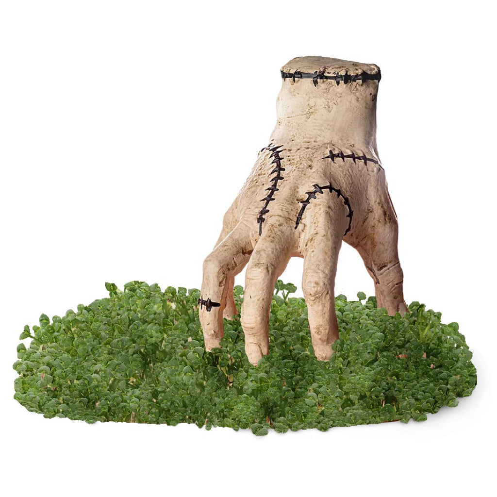 Thing Chia Pet | Chia Pets – Outer Layer