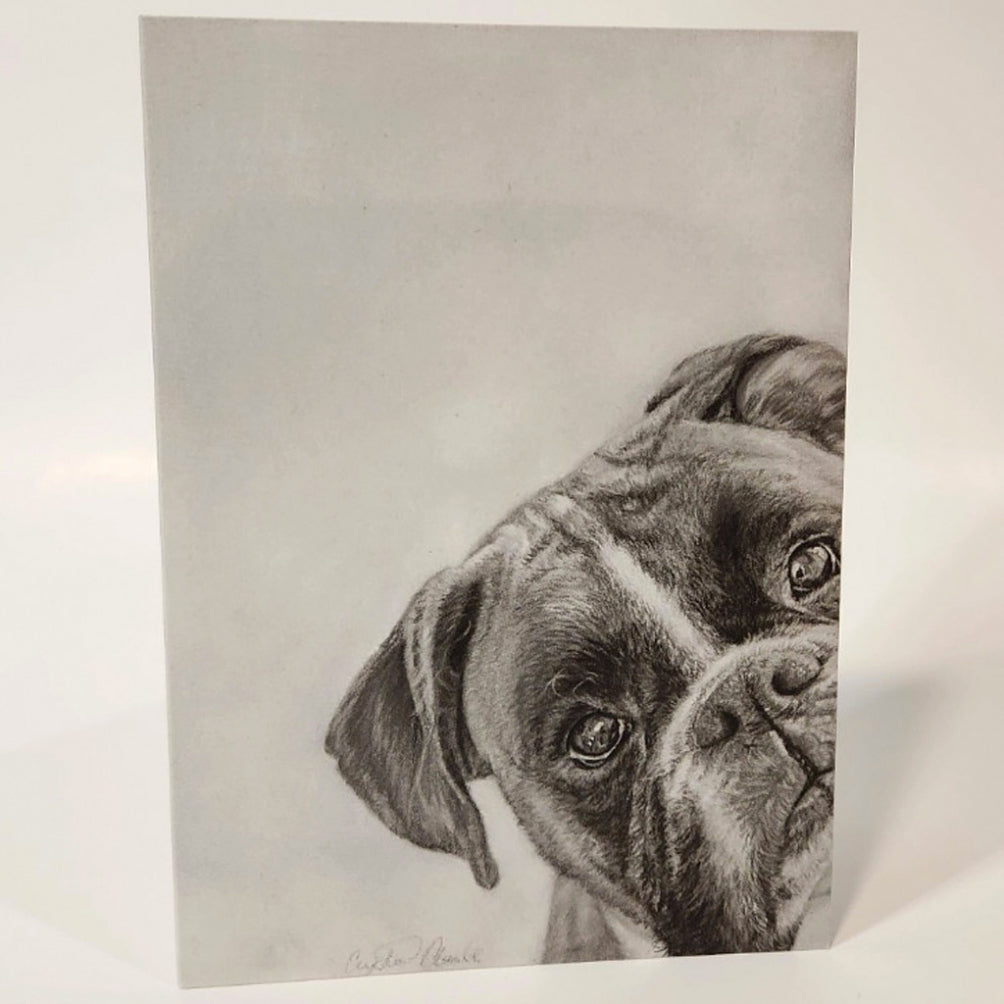 'Want to Play? Boxer Dog Card | Crystal Clarke Animal Art – Outer Layer